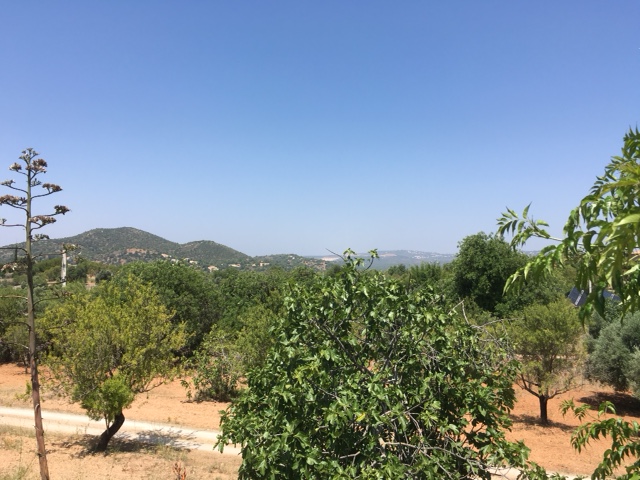 PC 74 Thoughts on meditation and Ommmm | postcards
