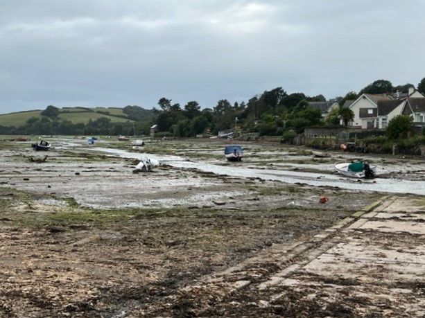 PC 347 Frogmore, Devon | postcards